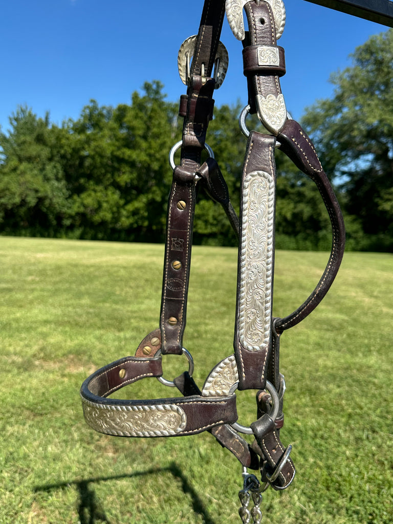 Used Harris Horse Size Show Halter – BackRoad Trading Company