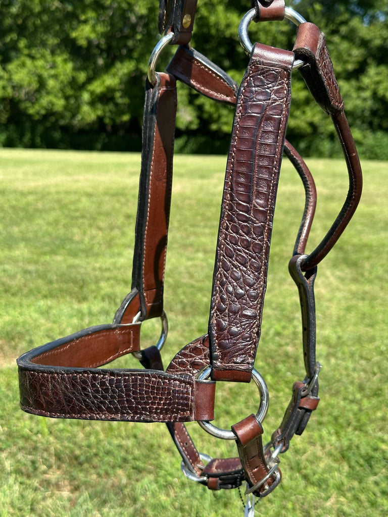 New Kathy’s Horse Size Caiman Show Halter – BackRoad Trading Company